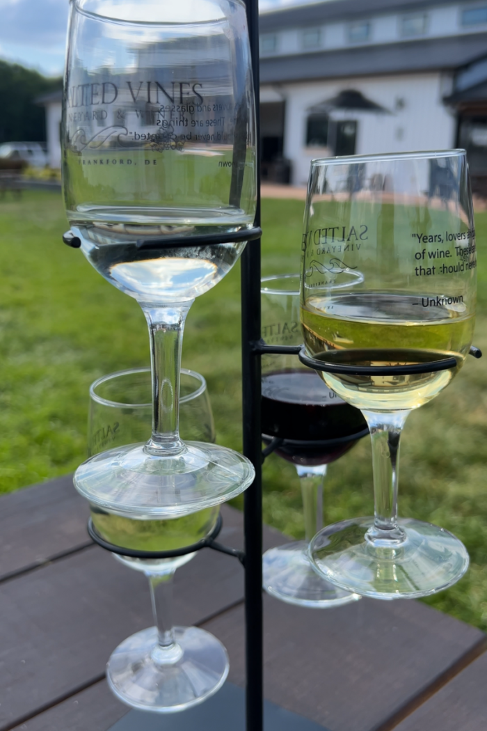 Salted Vines Vineyard and Winery - Delaware's Best Winery - WINONOIRE